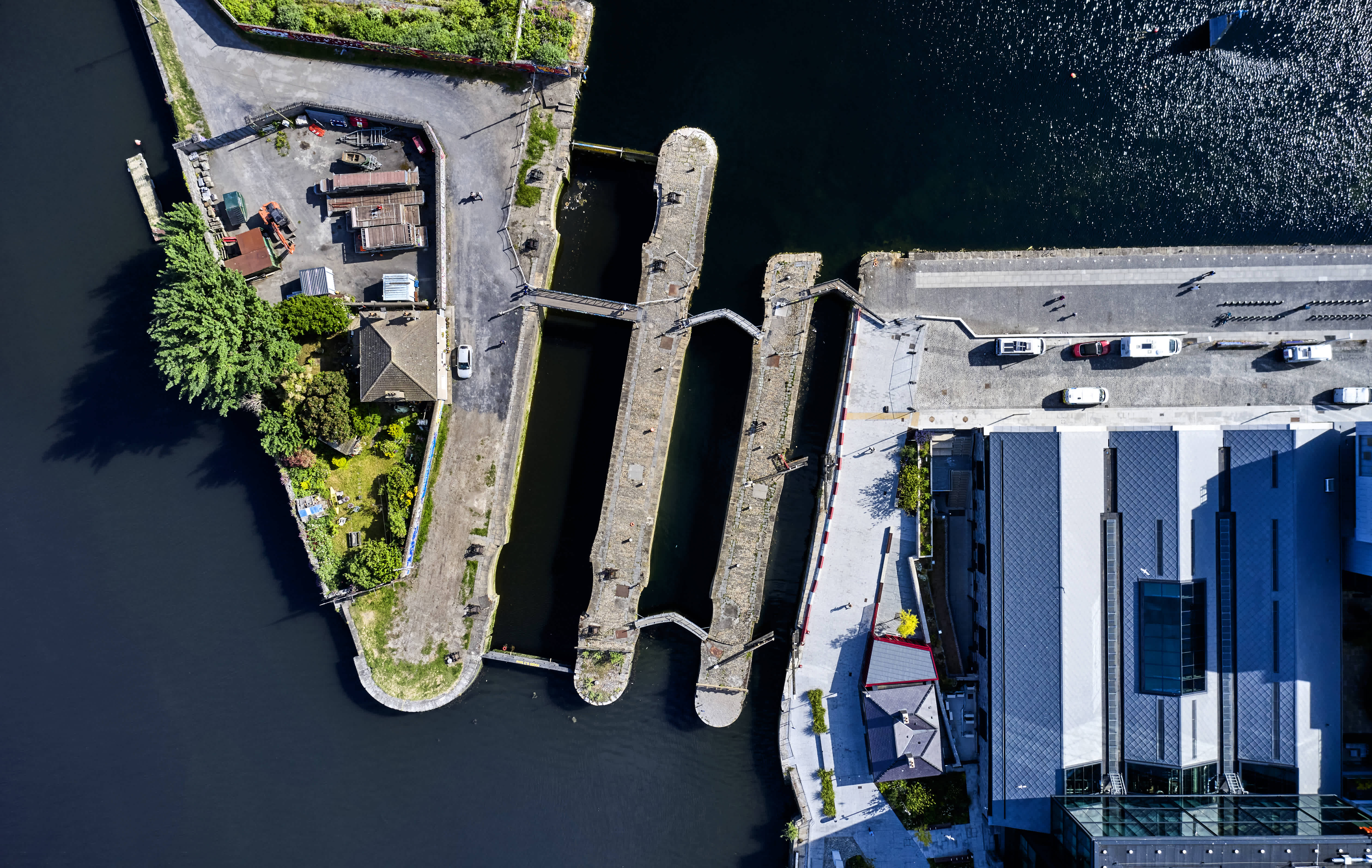 Trade in a Technology-Driven Future