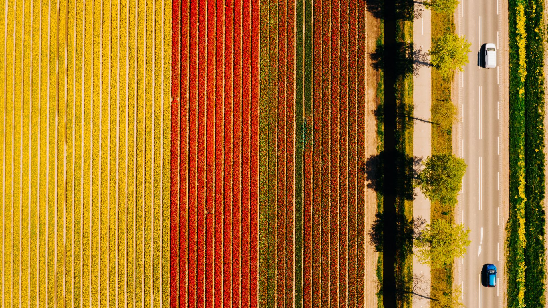 Aon Nederland