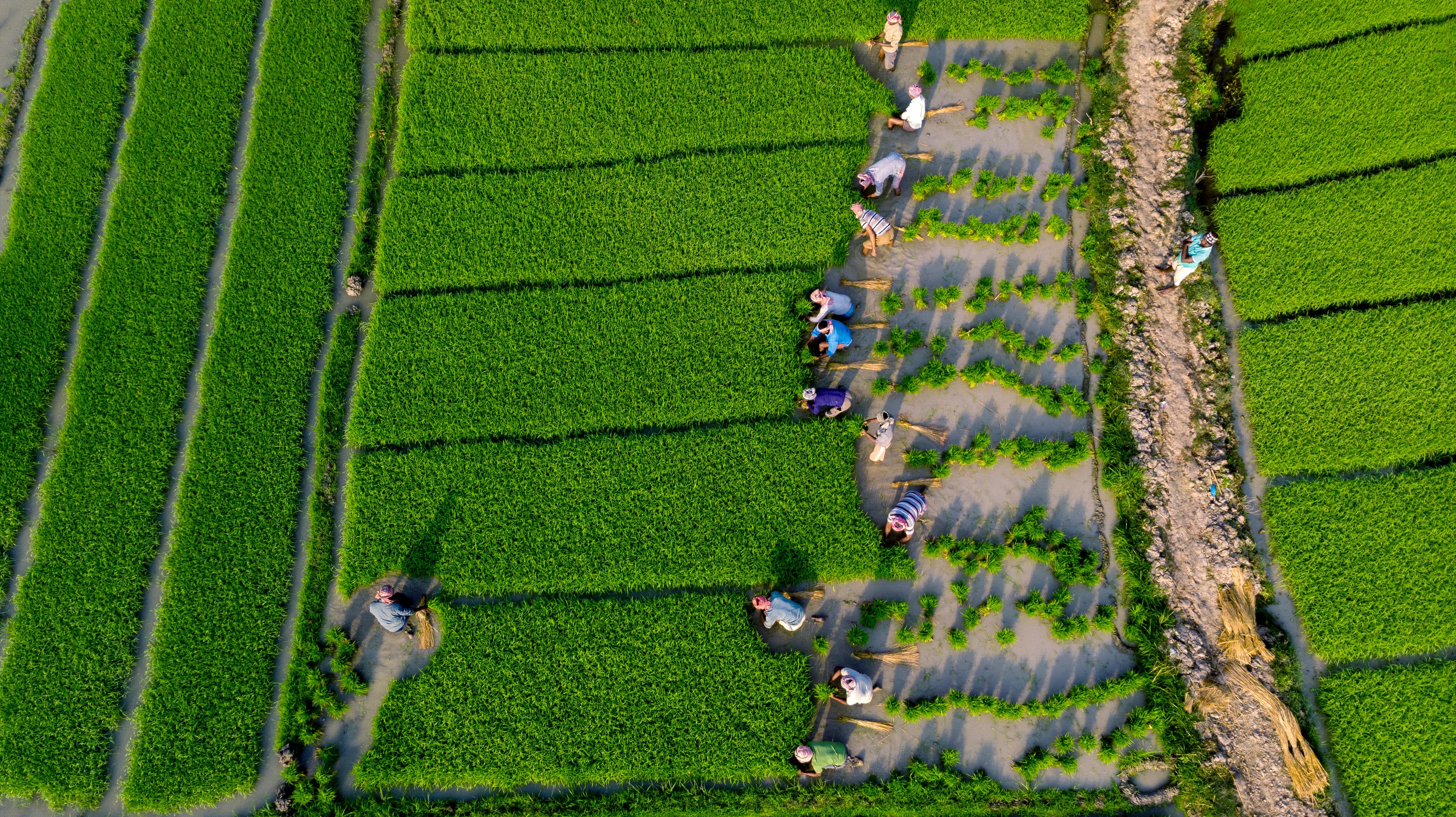 How Companies Can Prepare for ESG Risks and Regulatory Changes Across ... How Companies Can Prepare for ESG Risks and Regulatory Changes Across ...